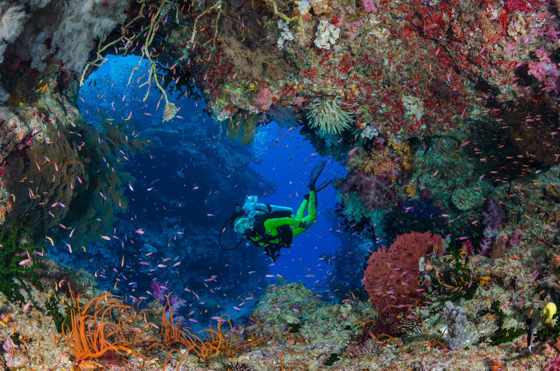 Pete Atkinson Photography